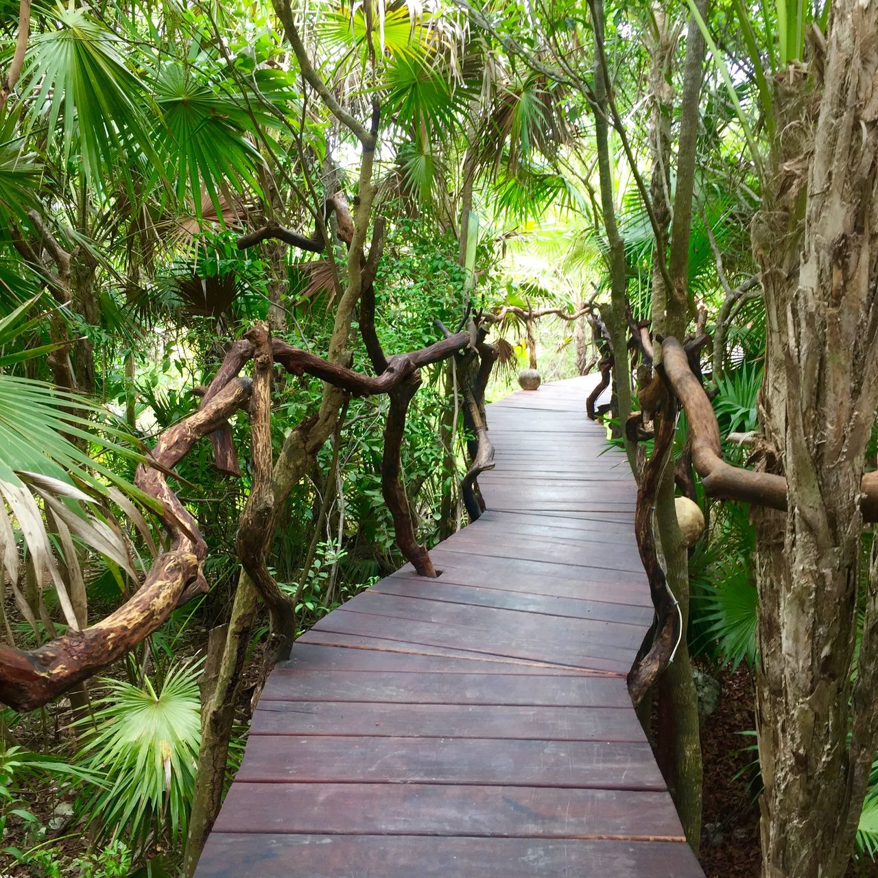 INSIDE: Azuliki • The Daydream Diaries