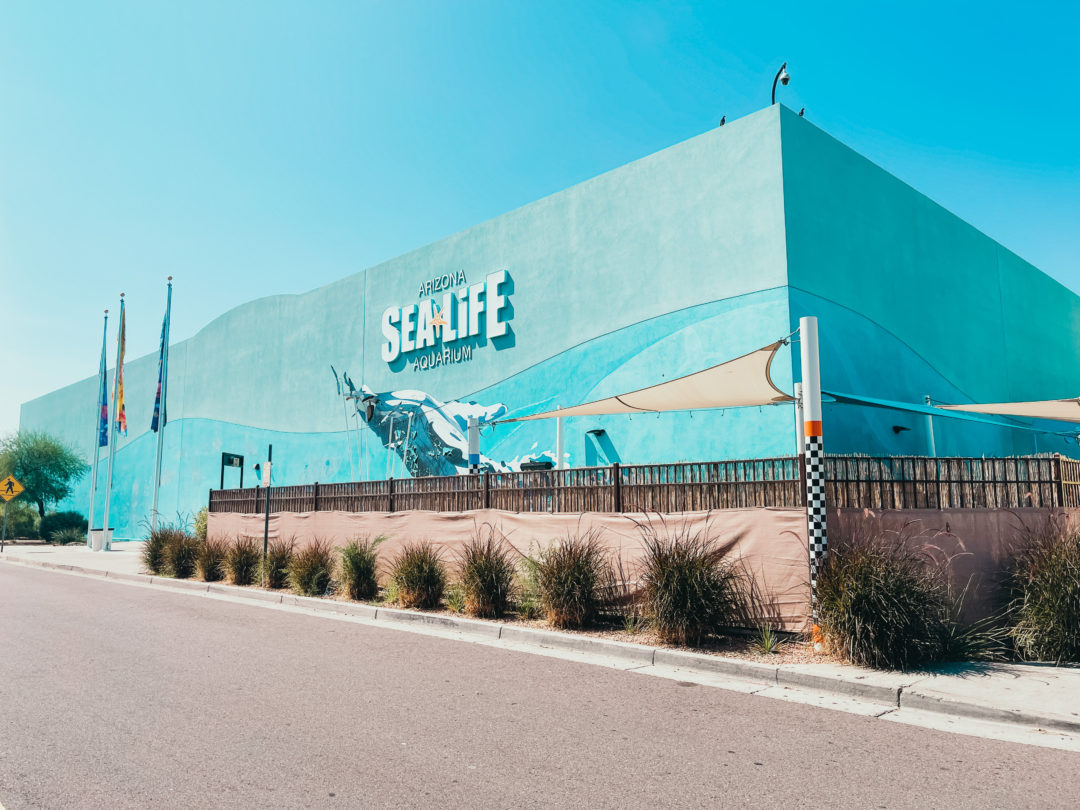 10 Amazing things to do in Tempe, Arizona with Kids! • The Daydream Diaries