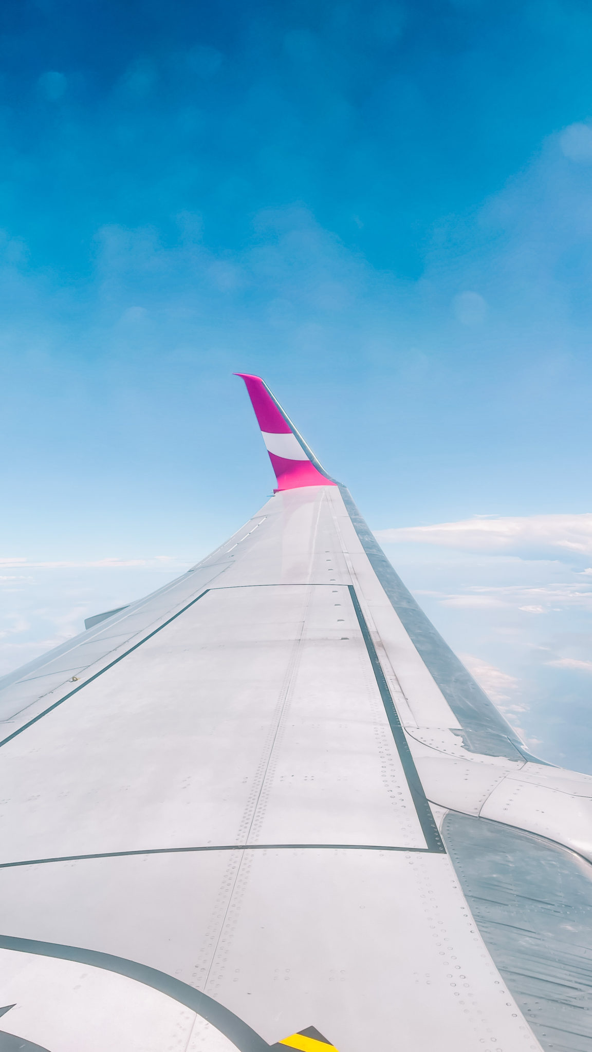 Swoop Airlines Review: Direct Flights, Amazing Low Costs & PINK! • The ...