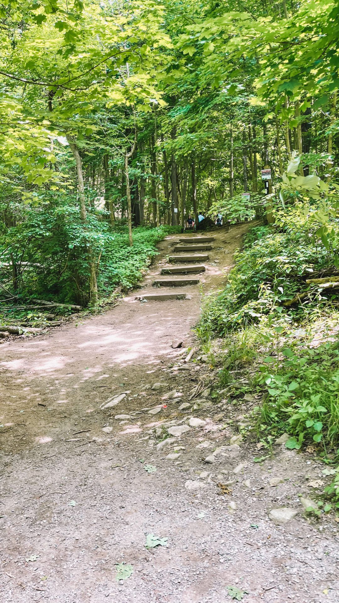 The 5 Best Waterfalls in Hamilton, Ontario • The Daydream Diaries