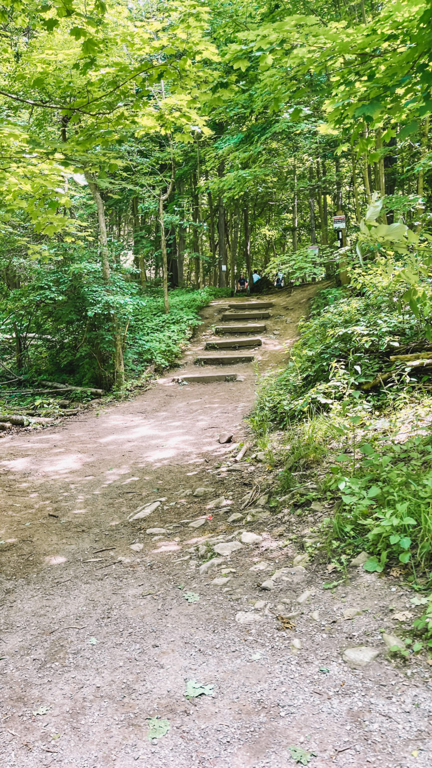 The 5 Best Waterfalls in Hamilton, Ontario • The Daydream Diaries