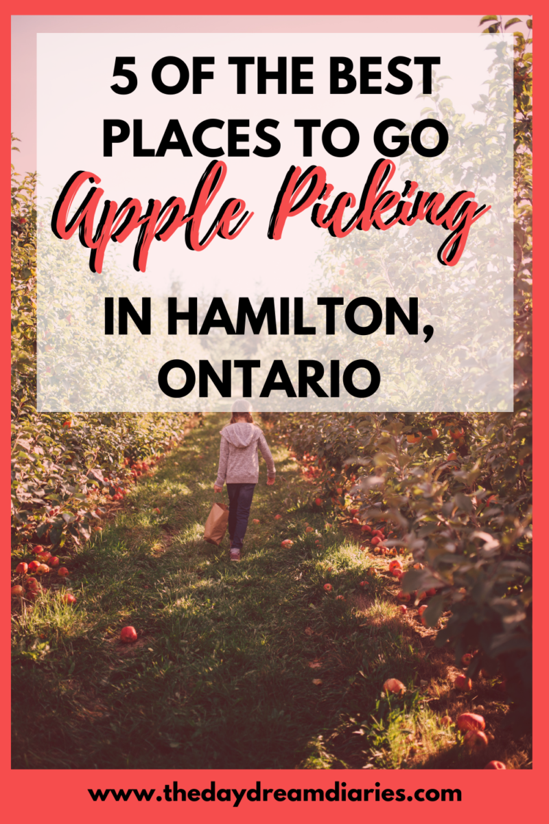 The Best Places To Go Apple Picking In Hamilton, Ontario • The Daydream ...