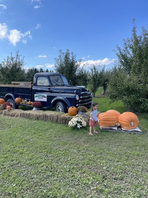 7 Of The Cutest Pumpkin Patches in Hamilton Ontario