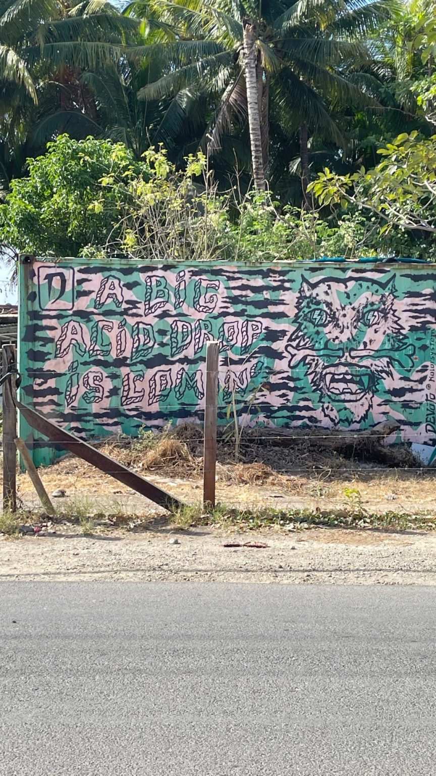 A Complete Guide To The Hip Beach Town of Samara, Costa Rica • The ...