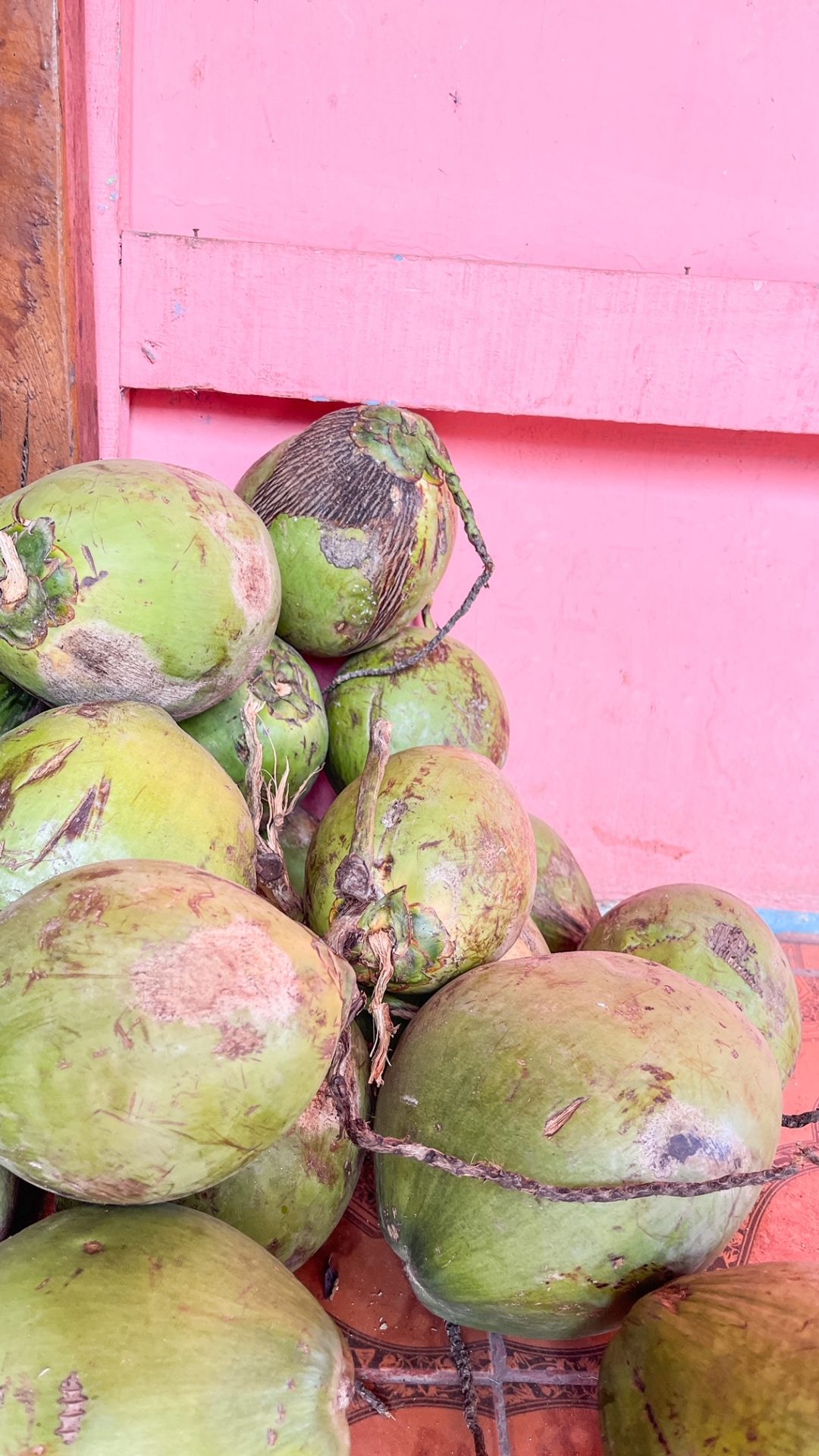 A Complete Guide To The Hip Beach Town of Samara, Costa Rica • The ...