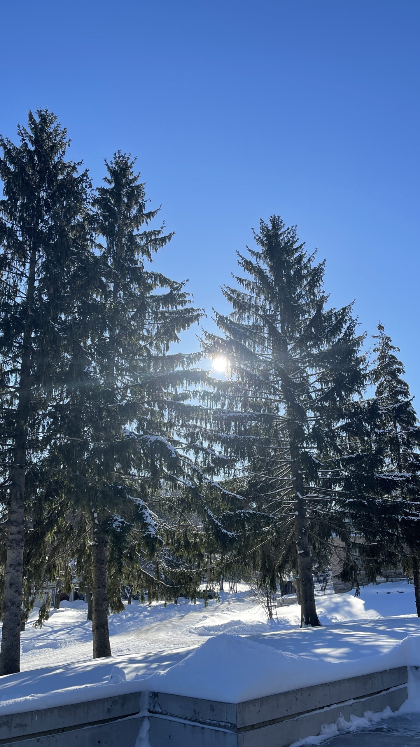Ice Skating In Hamilton At The Beautiful Princess Point: Everything You ...