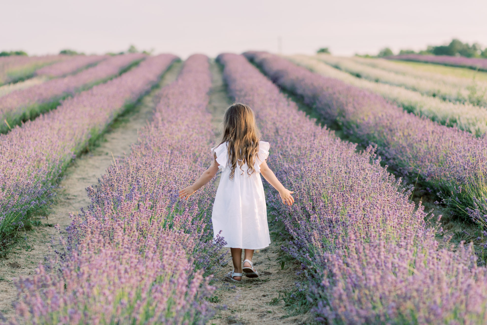 The Gorgeous Kelso Lavender Farm in Ontario Is A Must Visit • The ...