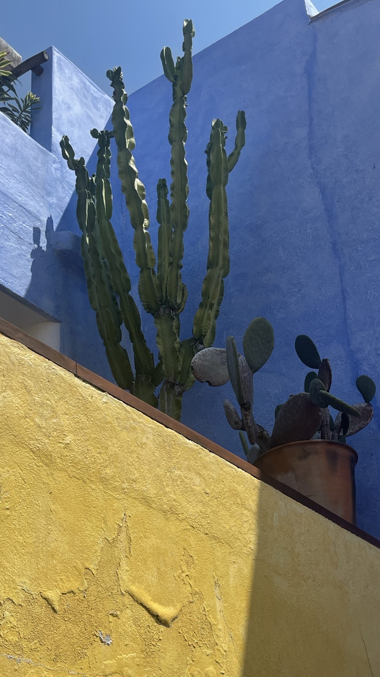 A Complete Guide To The Luxurious Beach Town of Careyes, Mexico • The ...