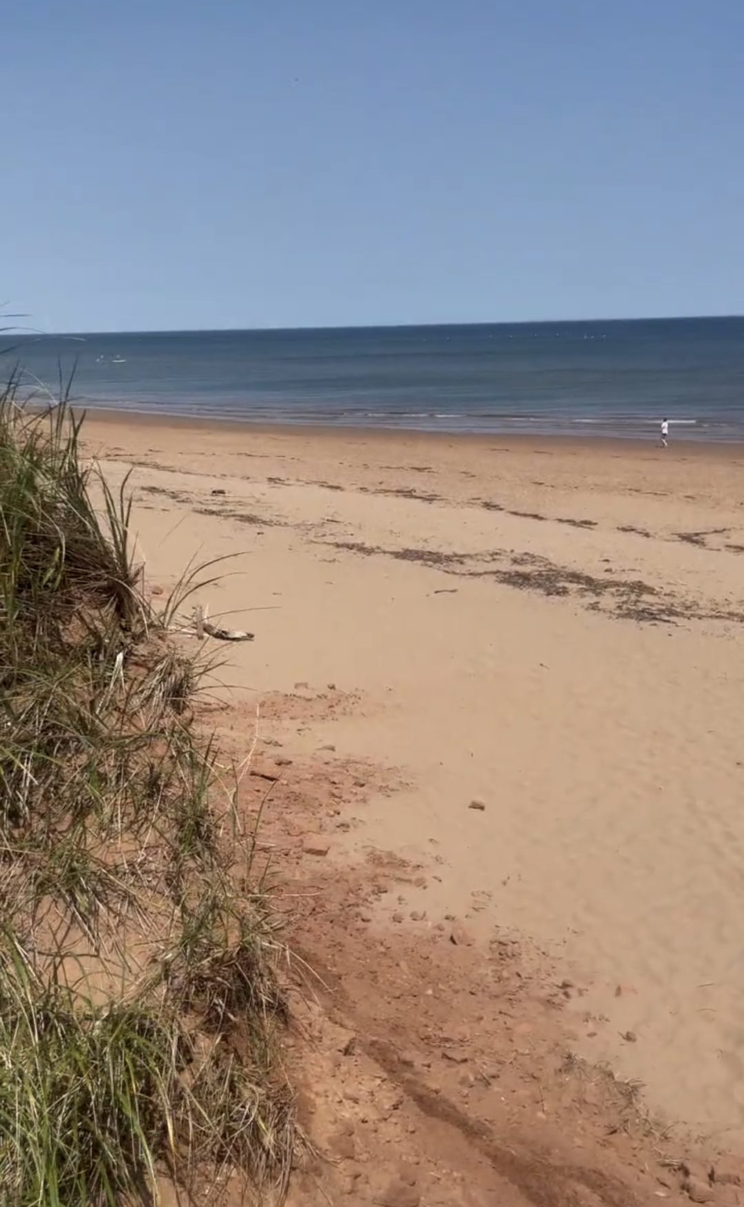 Thunder Cove Beach: Why You Need To Visit This Gorgeous Spot in PEI ...