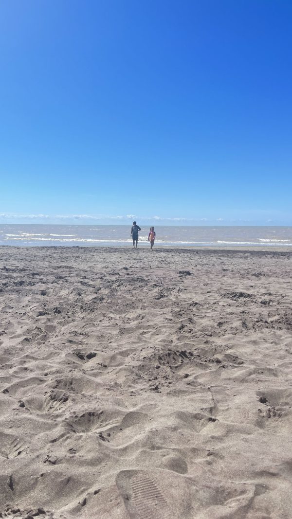 Over 10+ Gorgeous Beaches in Hamilton Ontario