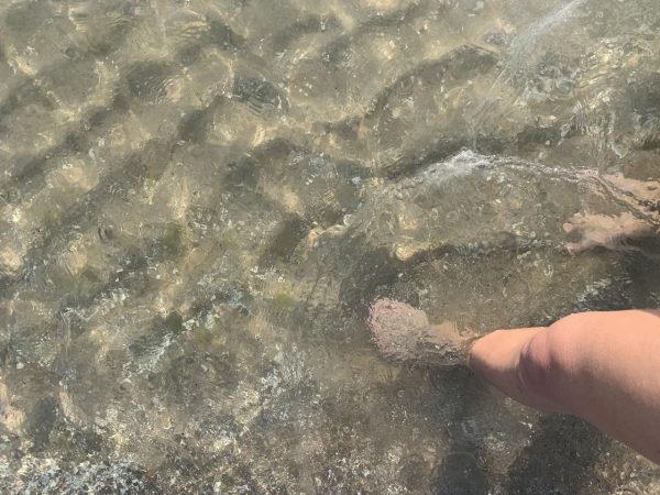 Over 10+ Gorgeous Beaches in Hamilton Ontario