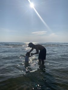 Over 10+ Gorgeous Beaches in Hamilton Ontario