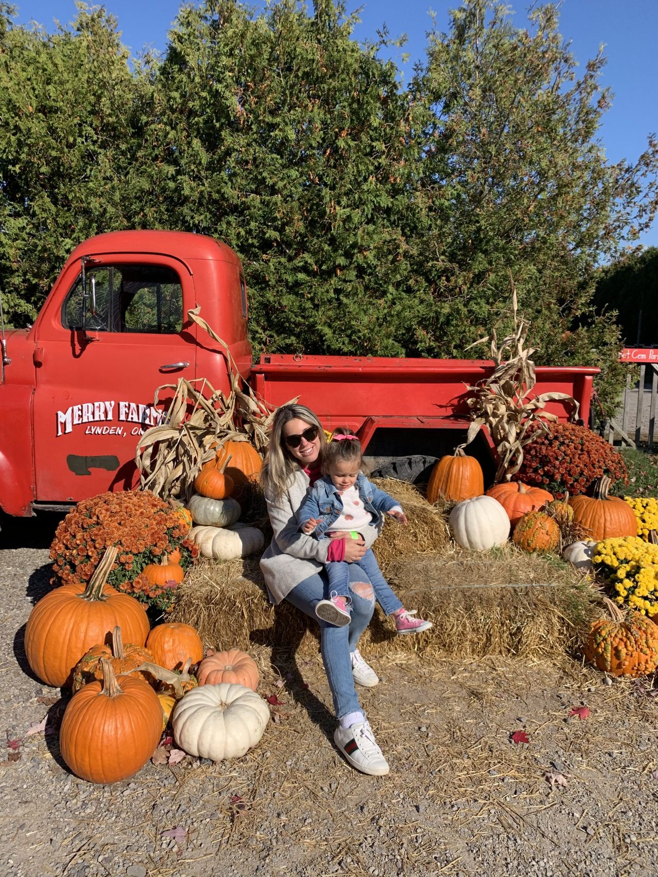 7 Of The Cutest Pumpkin Patches in Hamilton Ontario ( 2024) • The ...