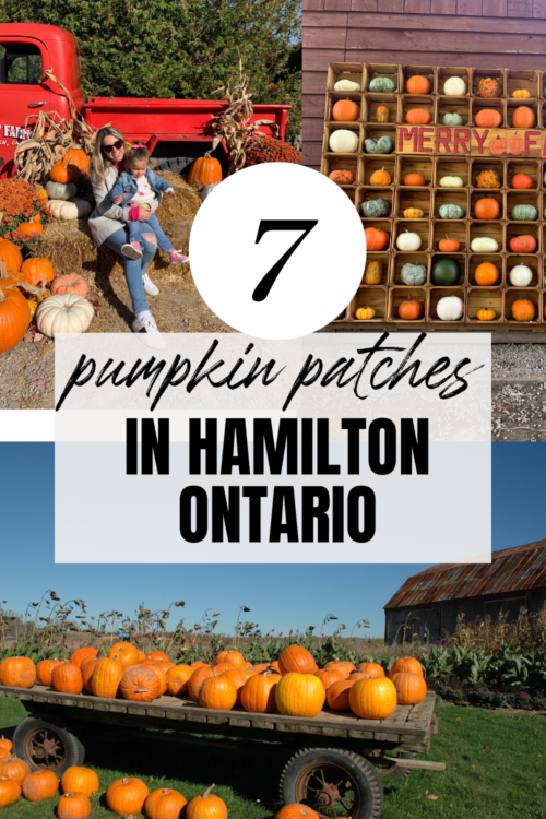 7 Of The Cutest Pumpkin Patches in Hamilton Ontario ( 2024) • The ...