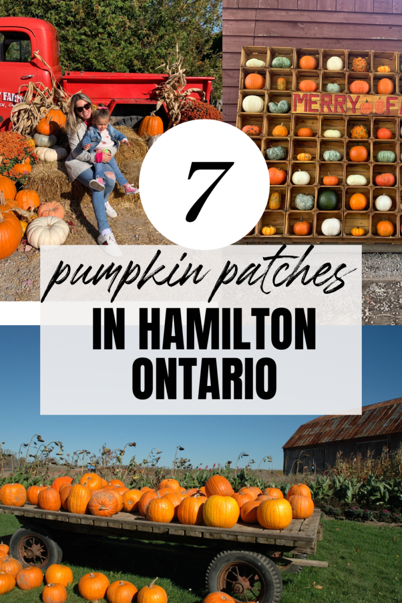 7 Of The Cutest Pumpkin Patches in Hamilton Ontario ( 2024) • The ...