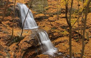 14 Places To See Epic Fall Colours in Ontario • The Daydream Diaries