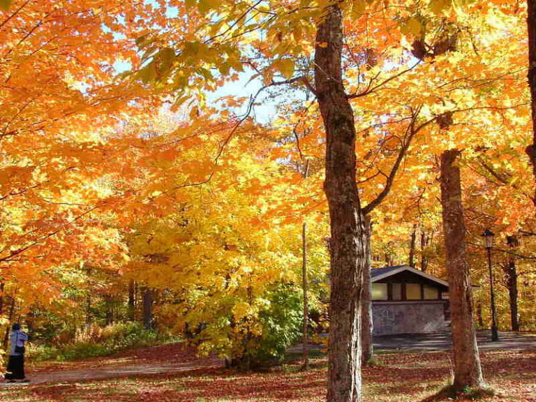 14 Places To See Epic Fall Colours in Ontario • The Daydream Diaries