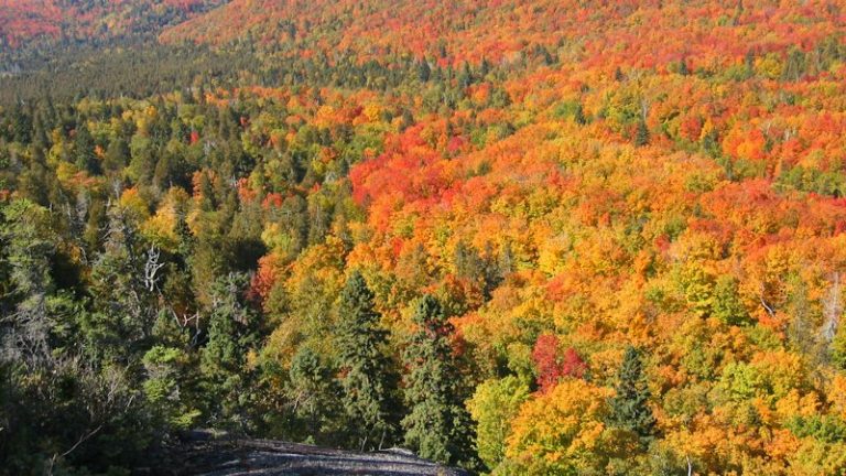 14 Places To See Epic Fall Colours in Ontario • The Daydream Diaries