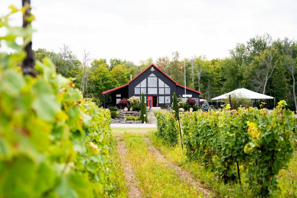 14 Of The Coolest and Best Wineries in Prince Edward County , Ontario ...