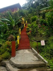 7 Beautiful Waterfalls in Grenada • The Daydream Diaries