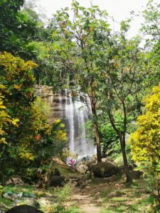7 Beautiful Waterfalls in Grenada • The Daydream Diaries