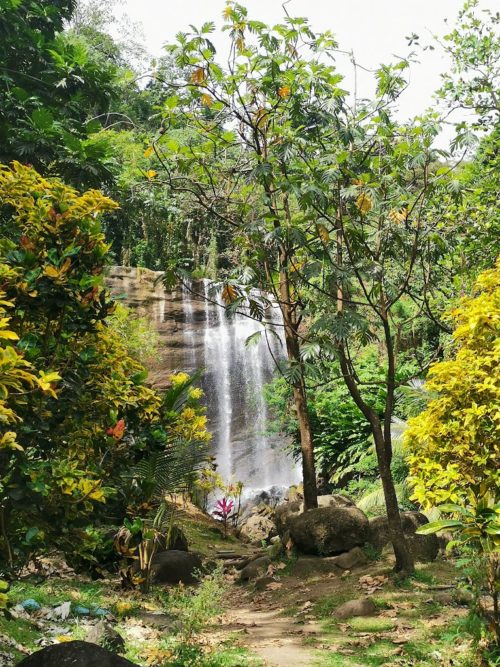 7 Beautiful Waterfalls in Grenada • The Daydream Diaries
