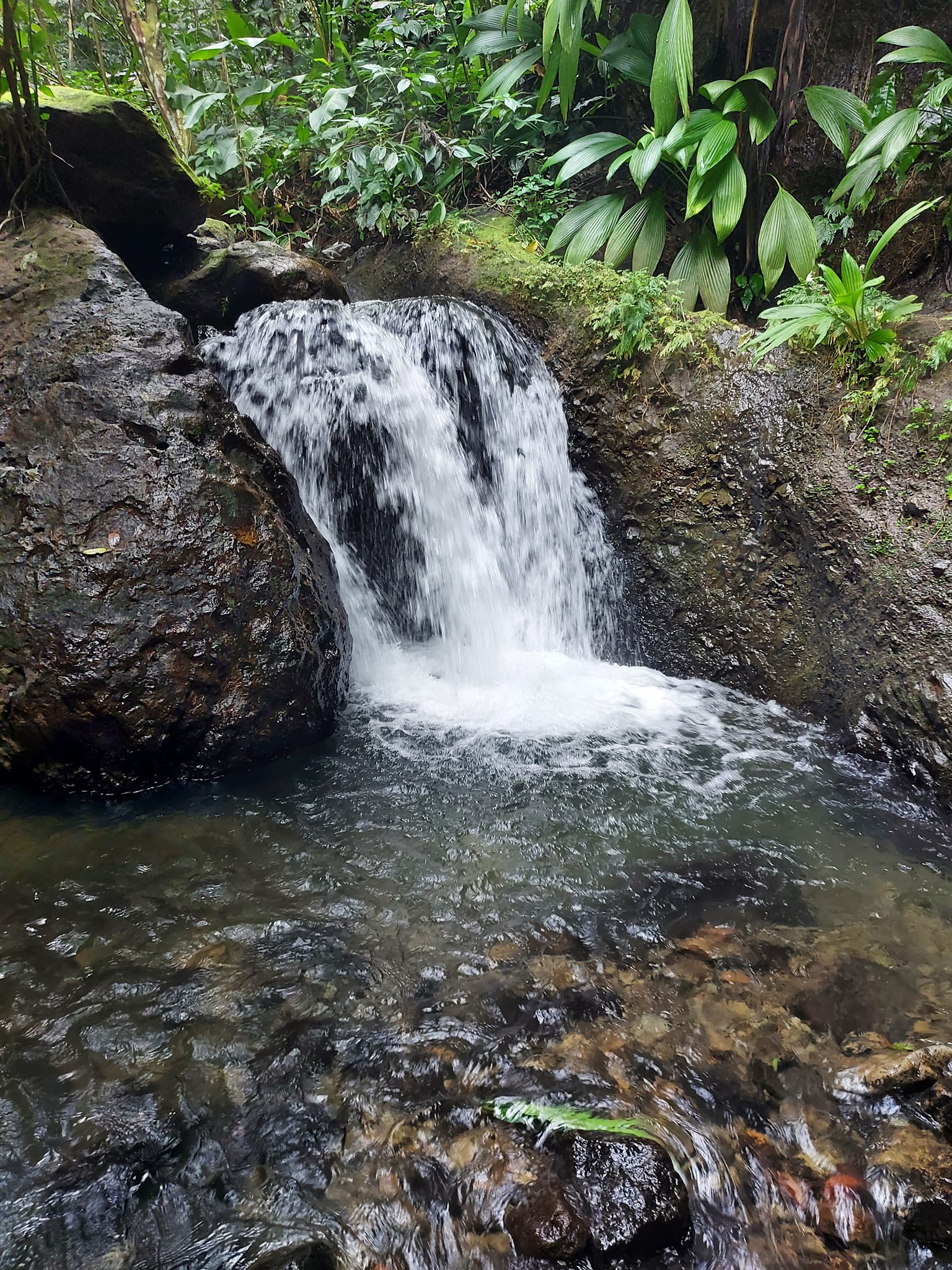 7 Beautiful Waterfalls in Grenada • The Daydream Diaries