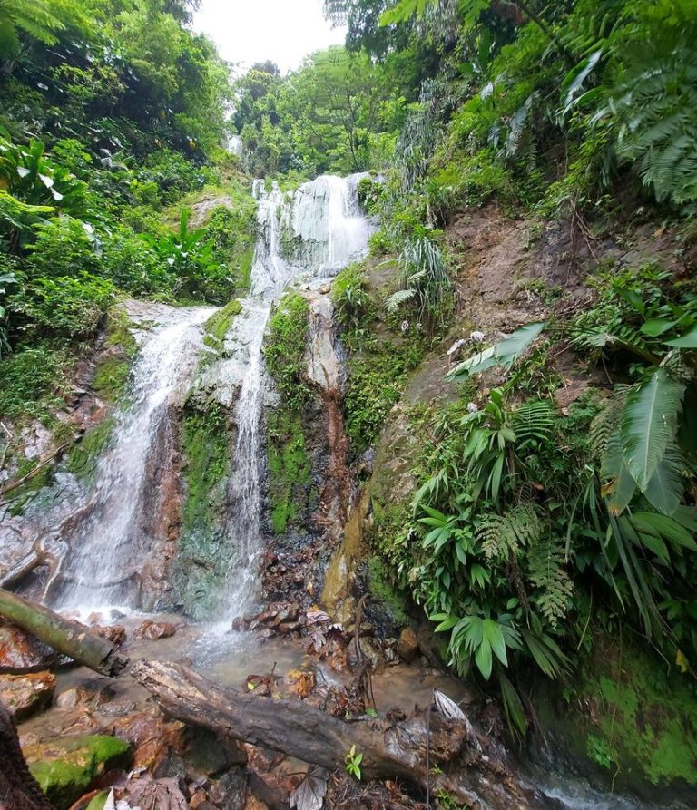 7 Beautiful Waterfalls in Grenada • The Daydream Diaries
