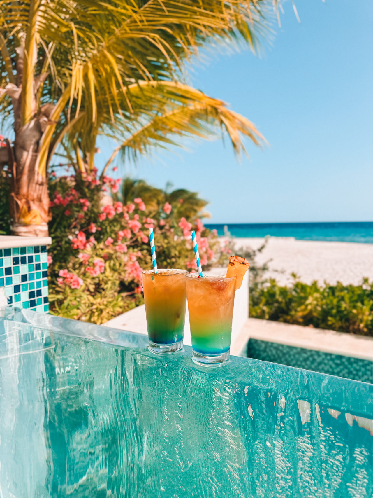 11 Super Fun Things To Do in Willemstad, Curacao • The Daydream Diaries