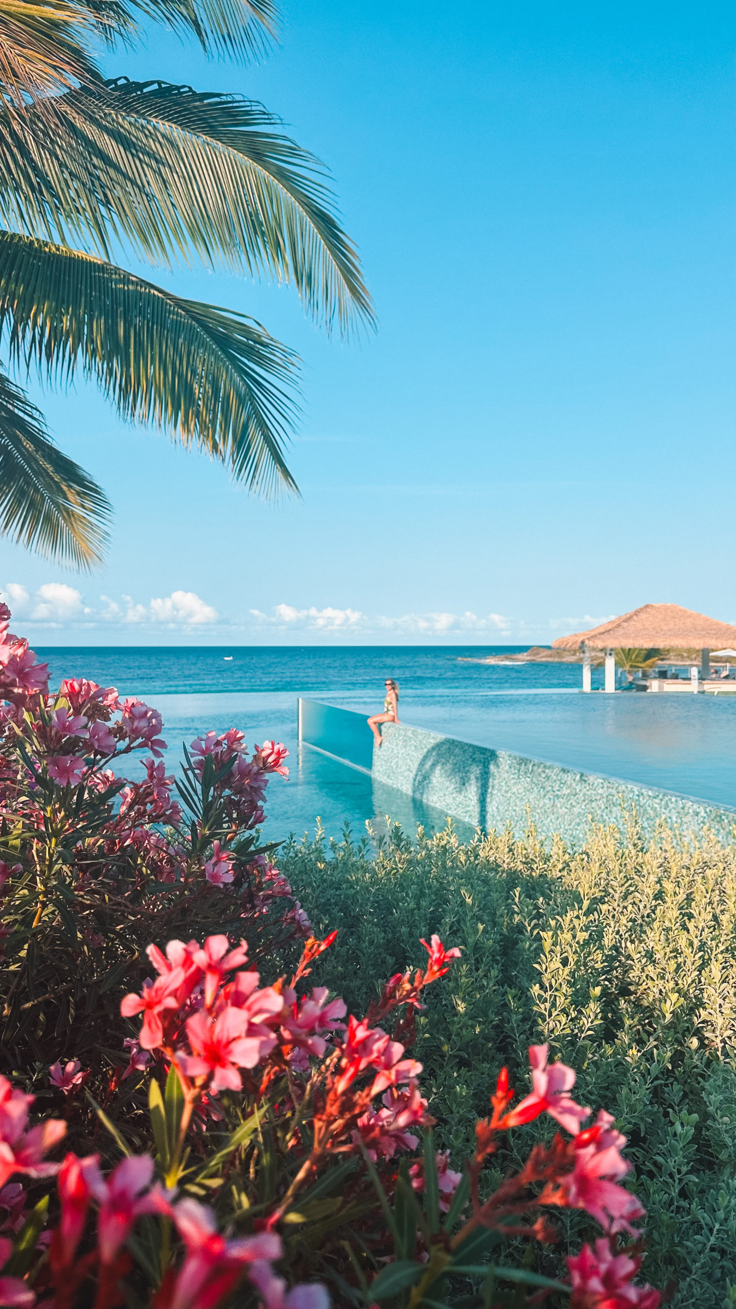 Full Review Sandals Curacao: Review, Photos + Tips • The Daydream Diaries