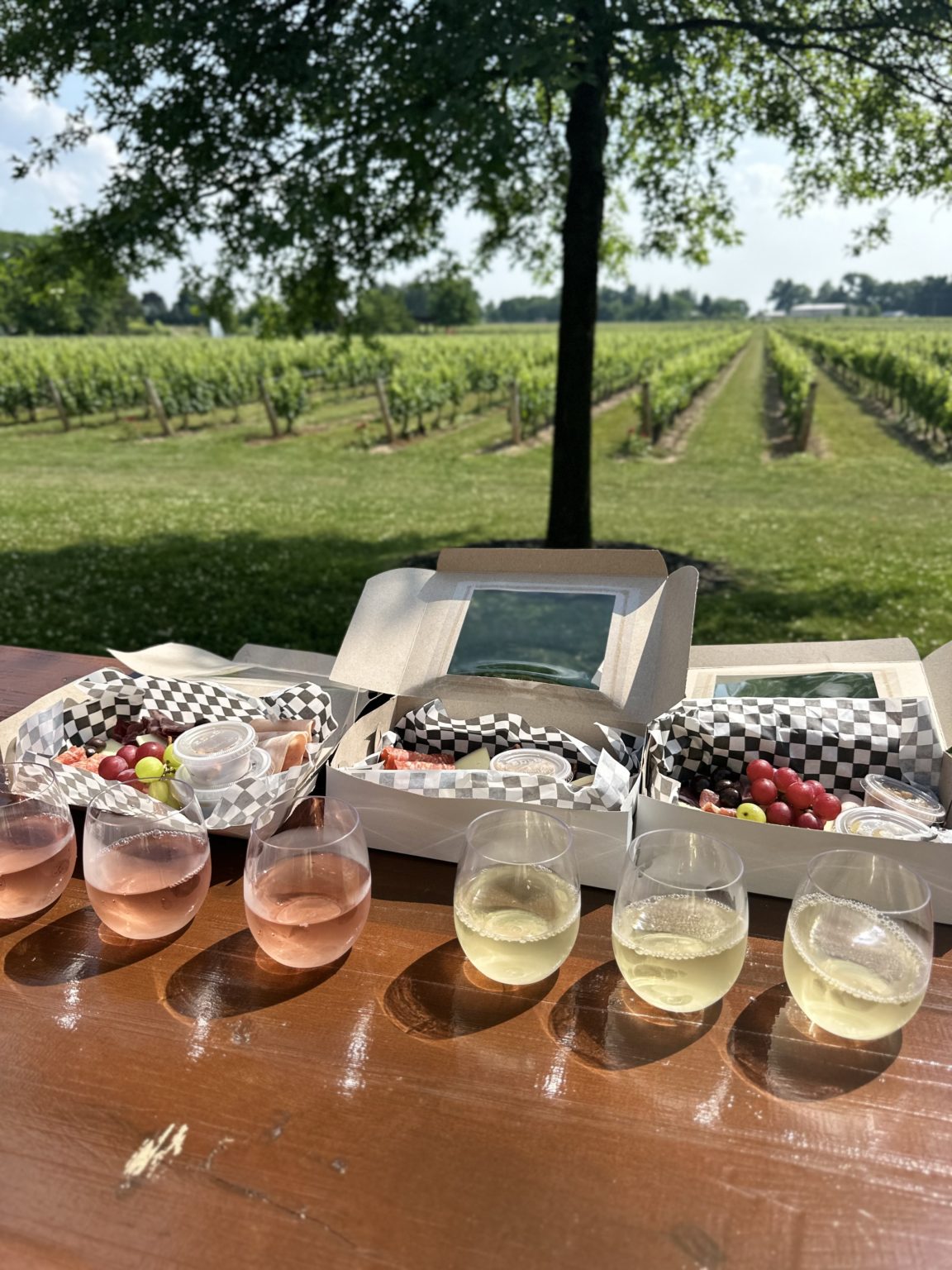 11 Of The Trendiest & Best Wineries in Niagara On The Lake • The Daydream Diaries