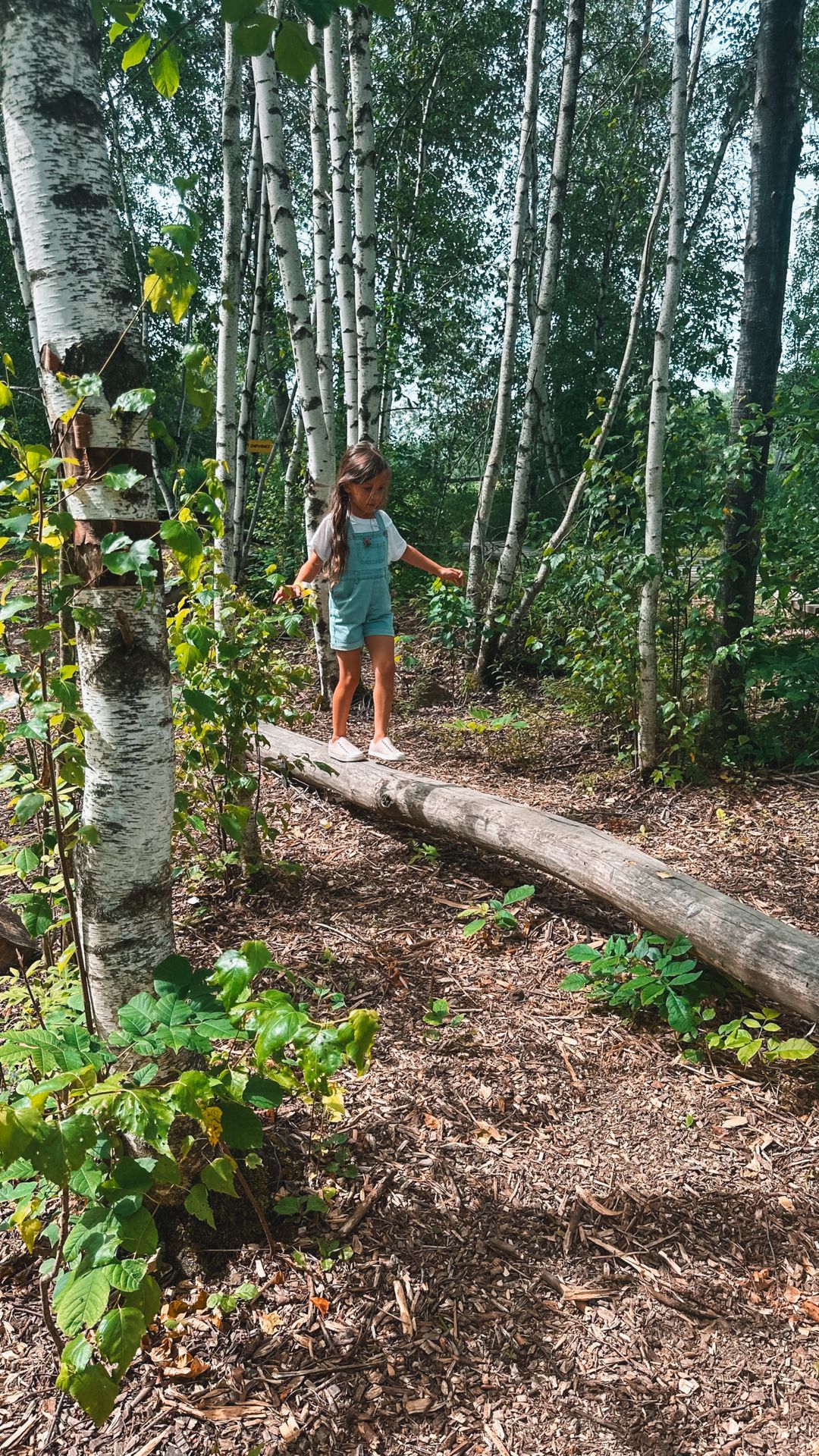 Travel Guide to Bromont Quebec: Best Restaurants, Spas & Activities ...