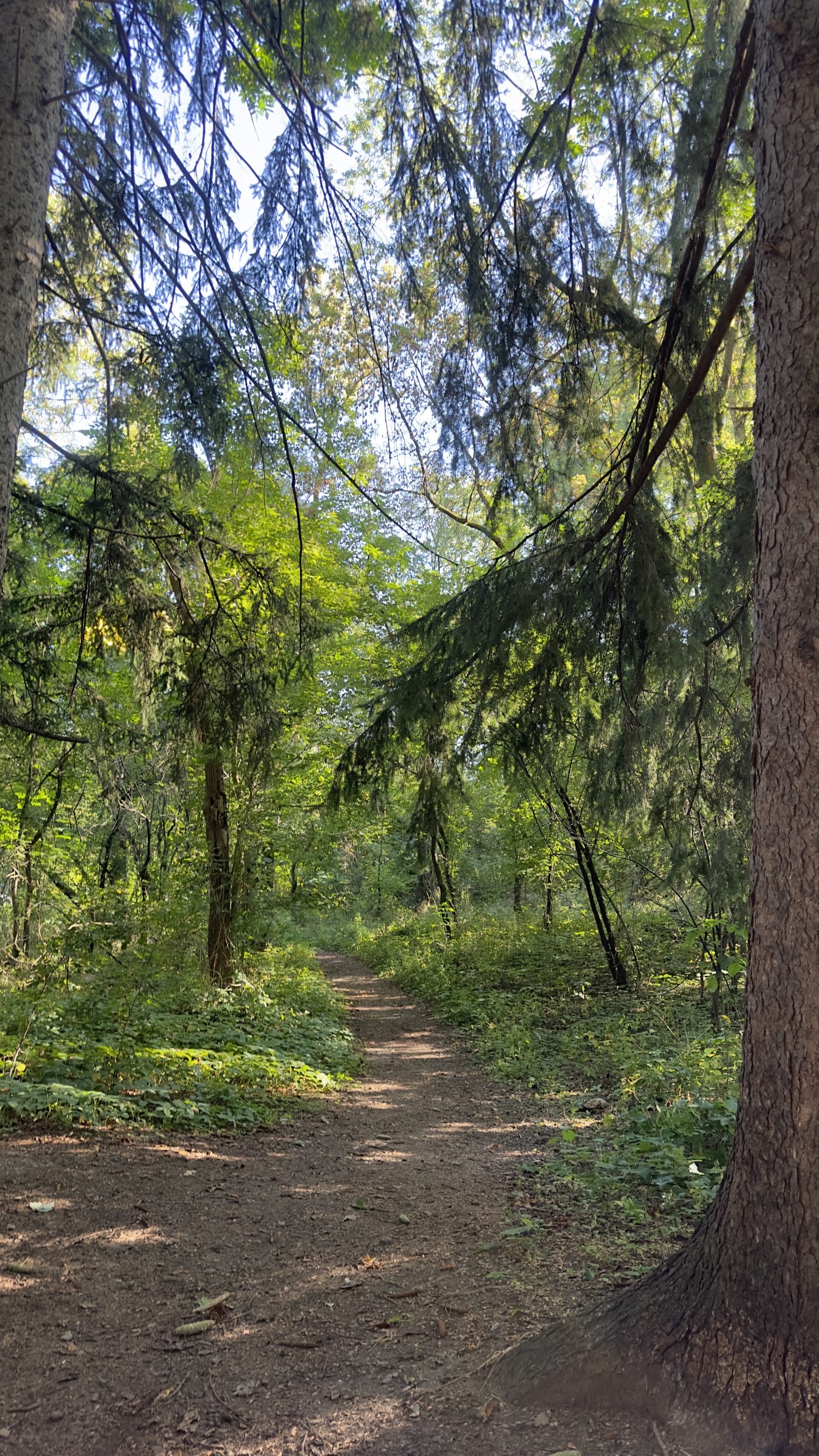 11 Cool Things To do in Ancaster, Ontario: Full Guide to visiting! • The Daydream Diaries